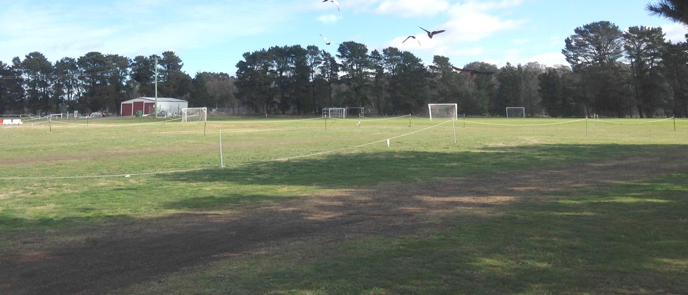 Board of Directors - Southern Tablelands Football Association